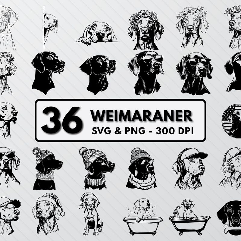 Weimaraner Art Vector - Etsy UK