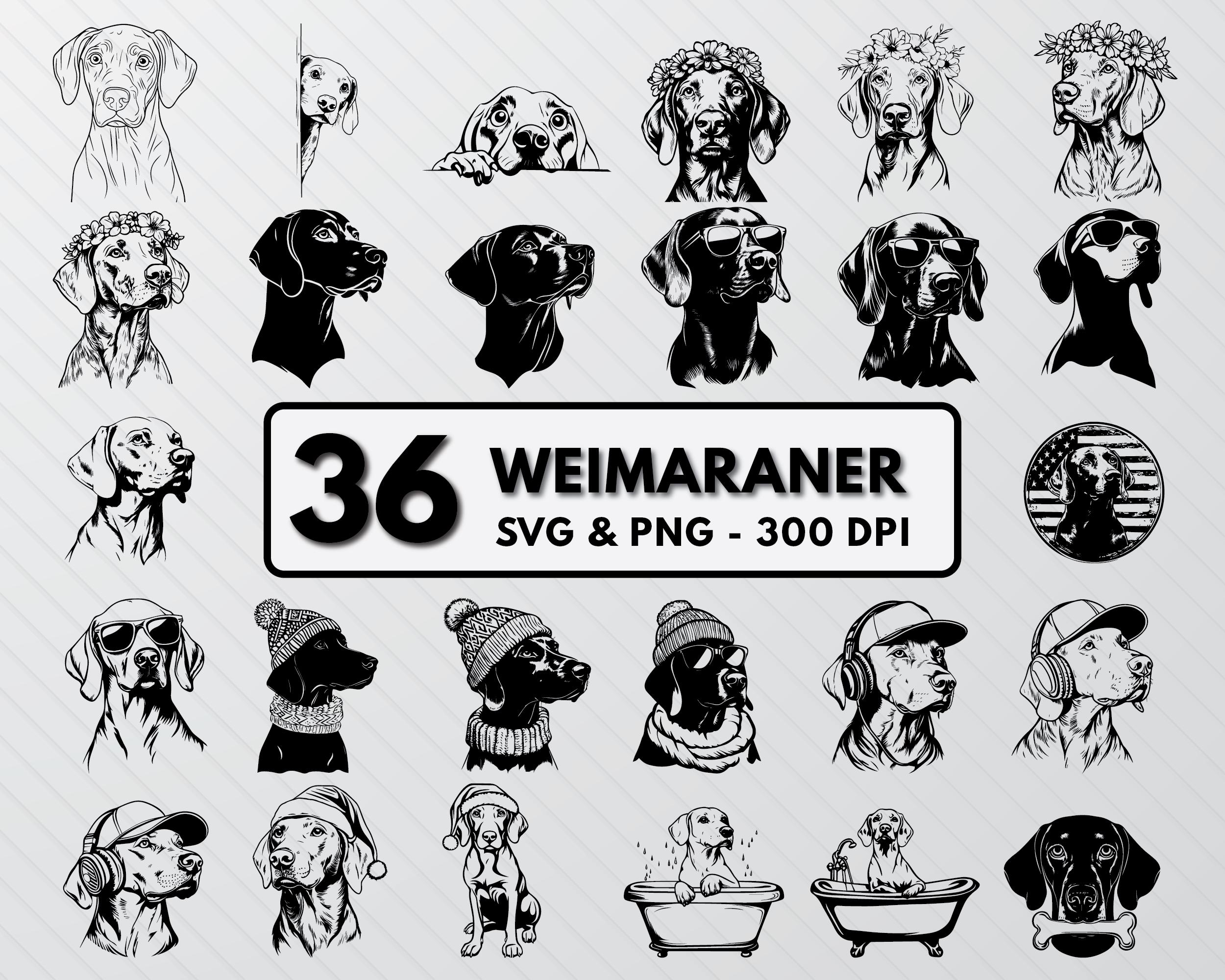 Weimaraner Svg Bundle, Weimaraner Dog Silhouette, Weimaraner Png Decal ...