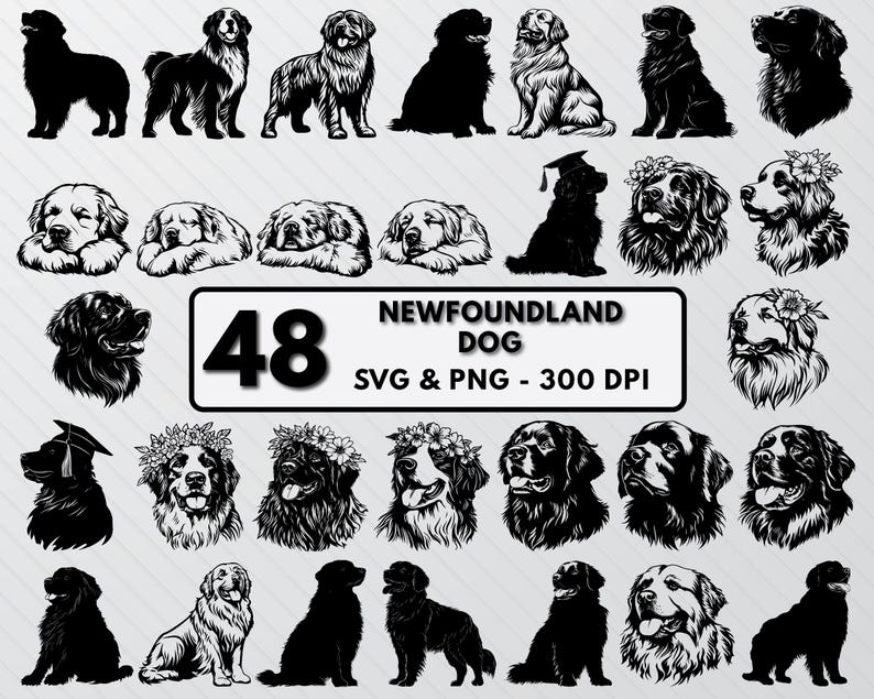 Newfoundland Dog SVG Bundle: Silhouette Vector Art (PNG, Cricut) - Etsy