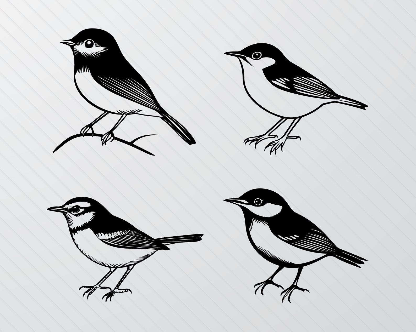 Wren Svg Bundle, Wren Bird Silhouette, Little Bird Line Art Svg Design ...