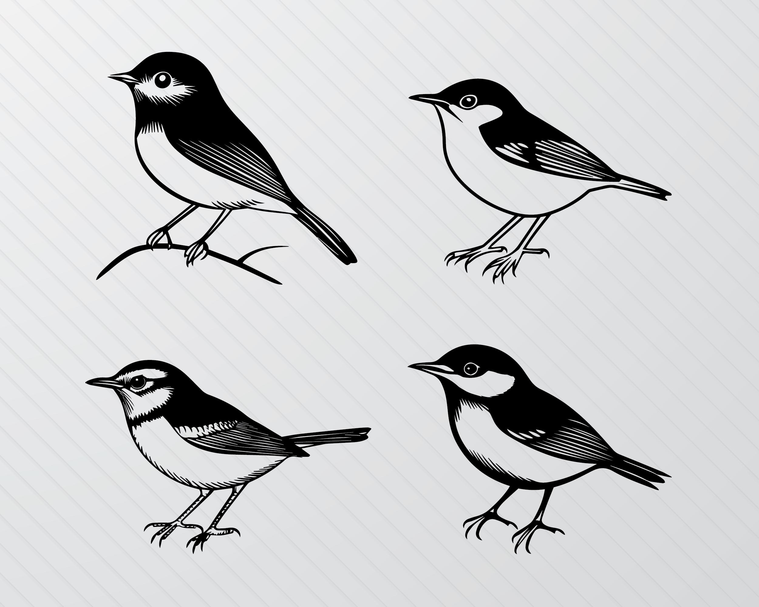 Wren Svg Bundle, Wren Bird Silhouette, Little Bird Line Art Svg Design ...