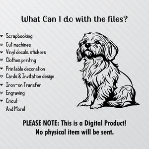 Cavapoo Dog Silhouette: SVG, PNG Clipart Bundle - Etsy