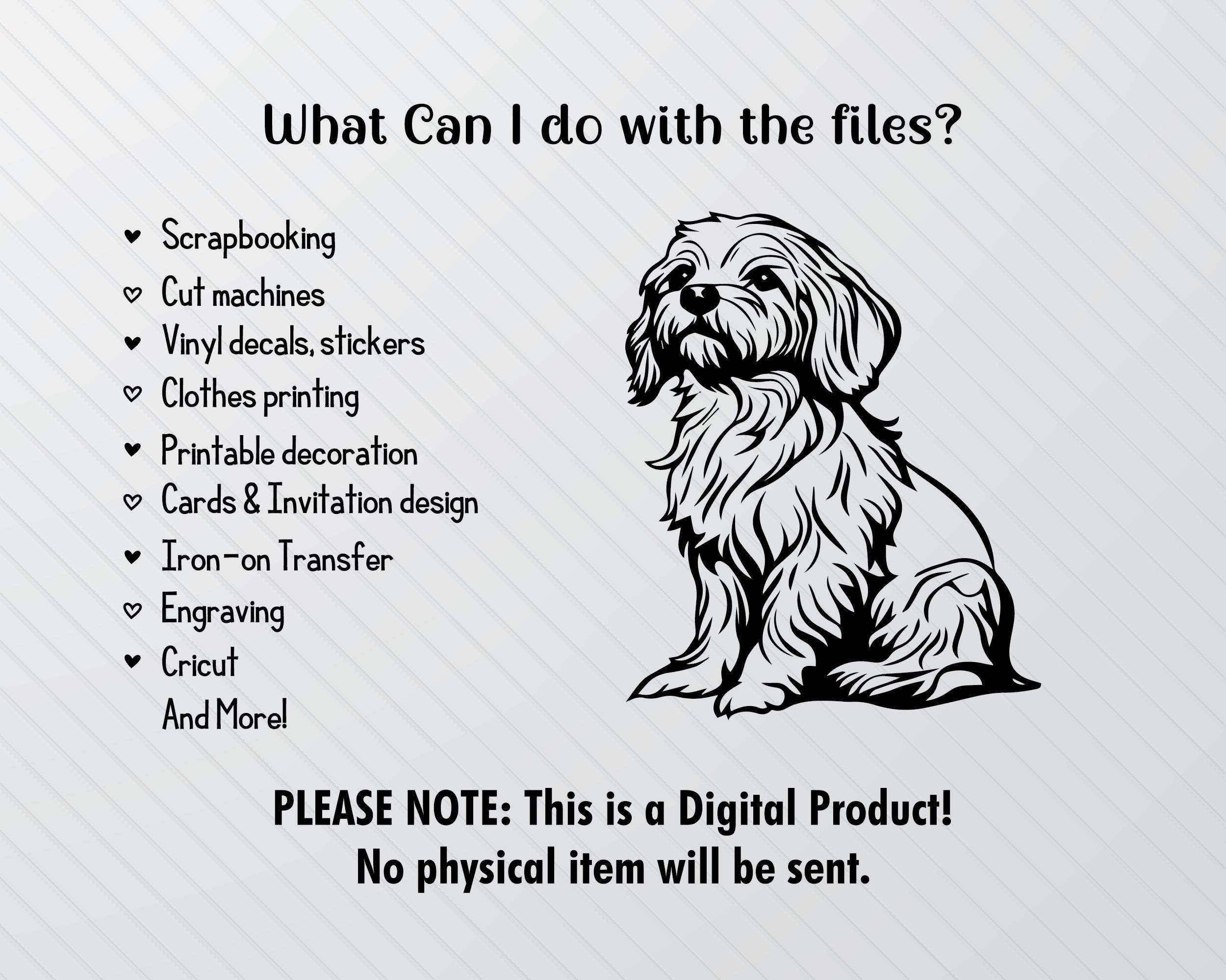 Cavapoo Dog Silhouette, Cavapoo Dogs Svg Bundle, Cadoodle Puppies Png ...