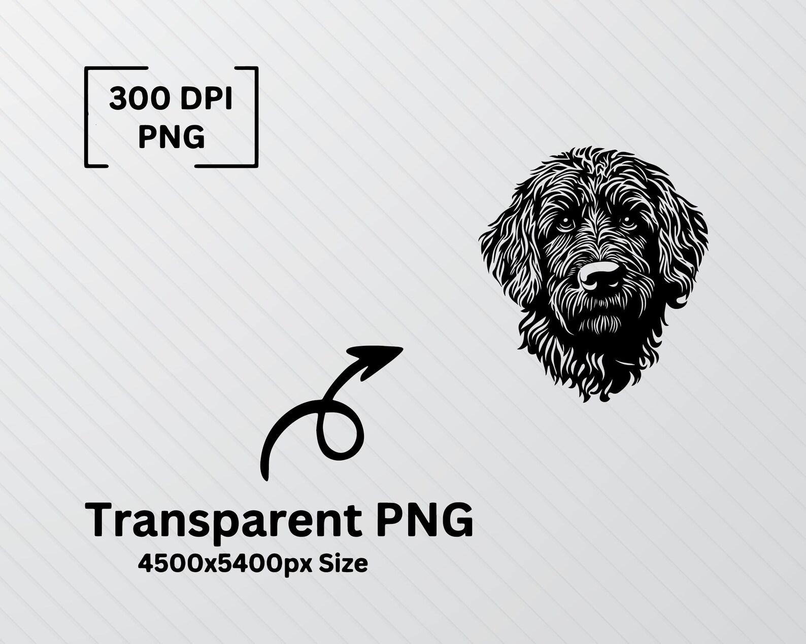 Bernedoodle Silhouette: Dog Breed Vector Art Bundle (SVG, PNG) - Etsy