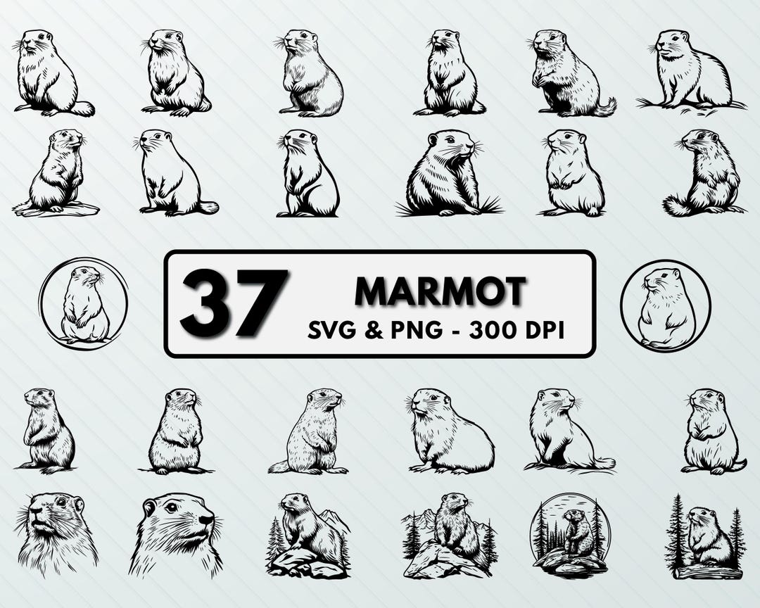Marmot Svg Png Bundle, Marmot Clipart, Marmot Silhouette, Marmot Vector ...