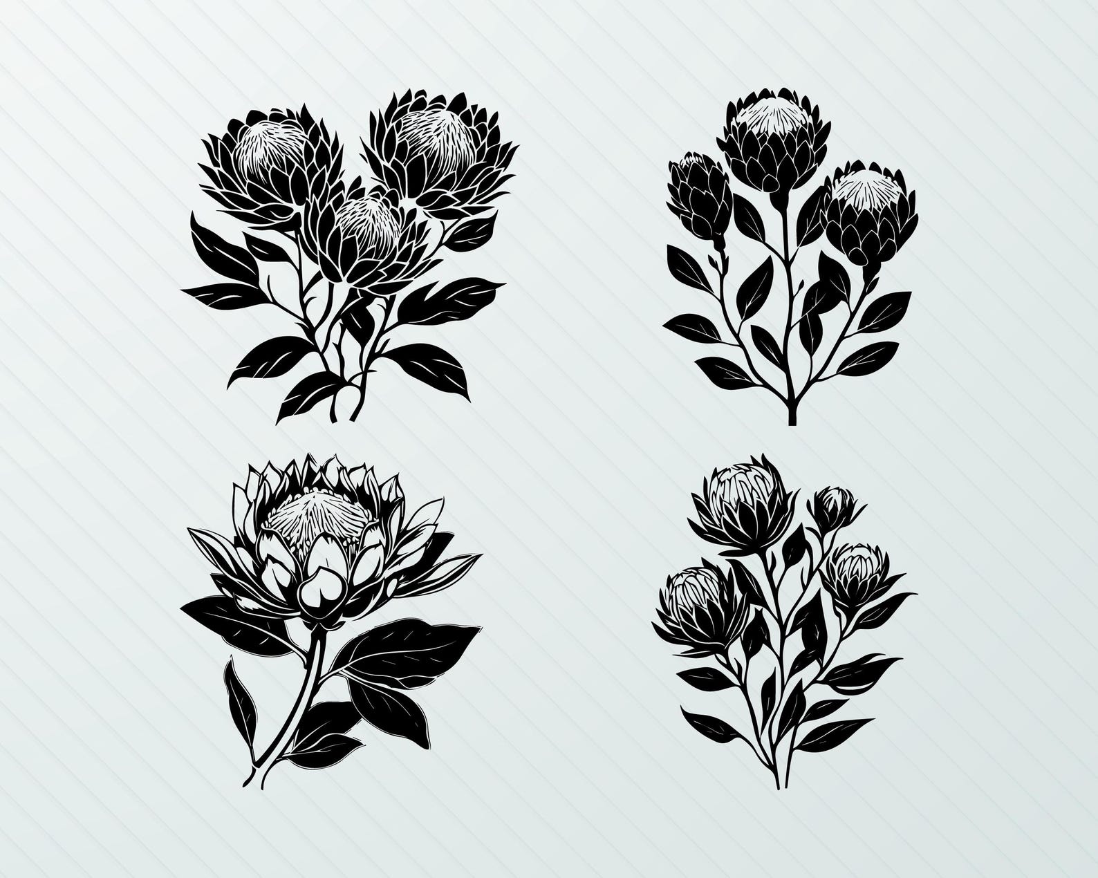 Protea Flower SVG PNG: Floral Silhouette Clipart (300 DPI) - Etsy