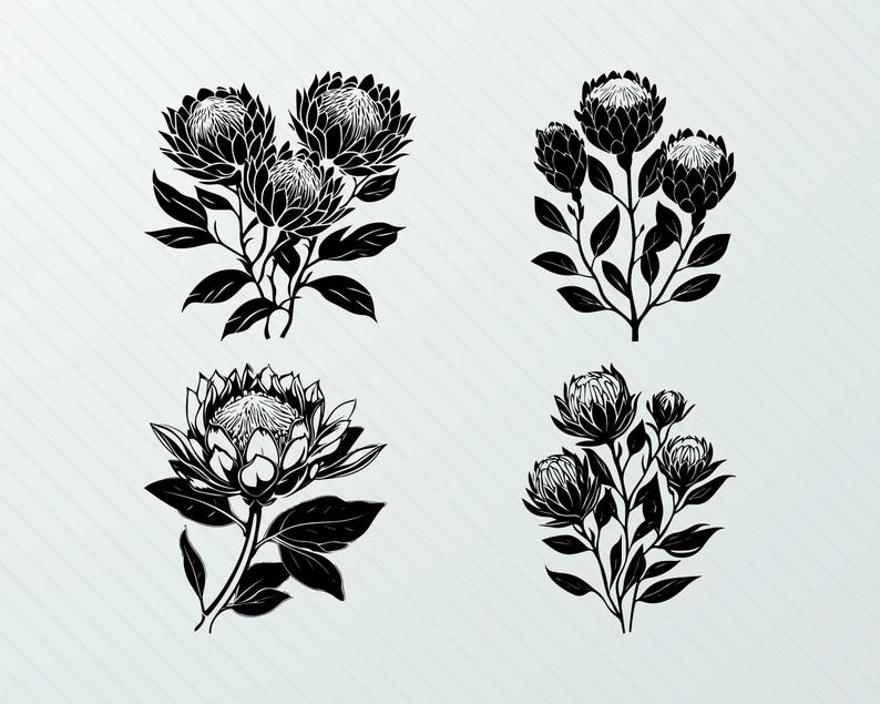 Protea Flower SVG PNG: Floral Silhouette Clipart (300 DPI) - Etsy