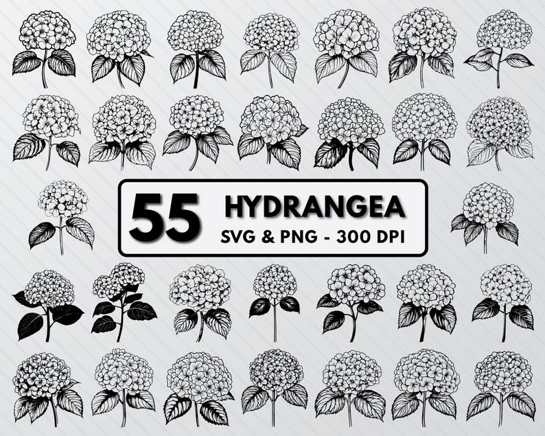 Hydrangea Flower SVG Bundle: Silhouette Clipart (PNG, Vector) - Etsy