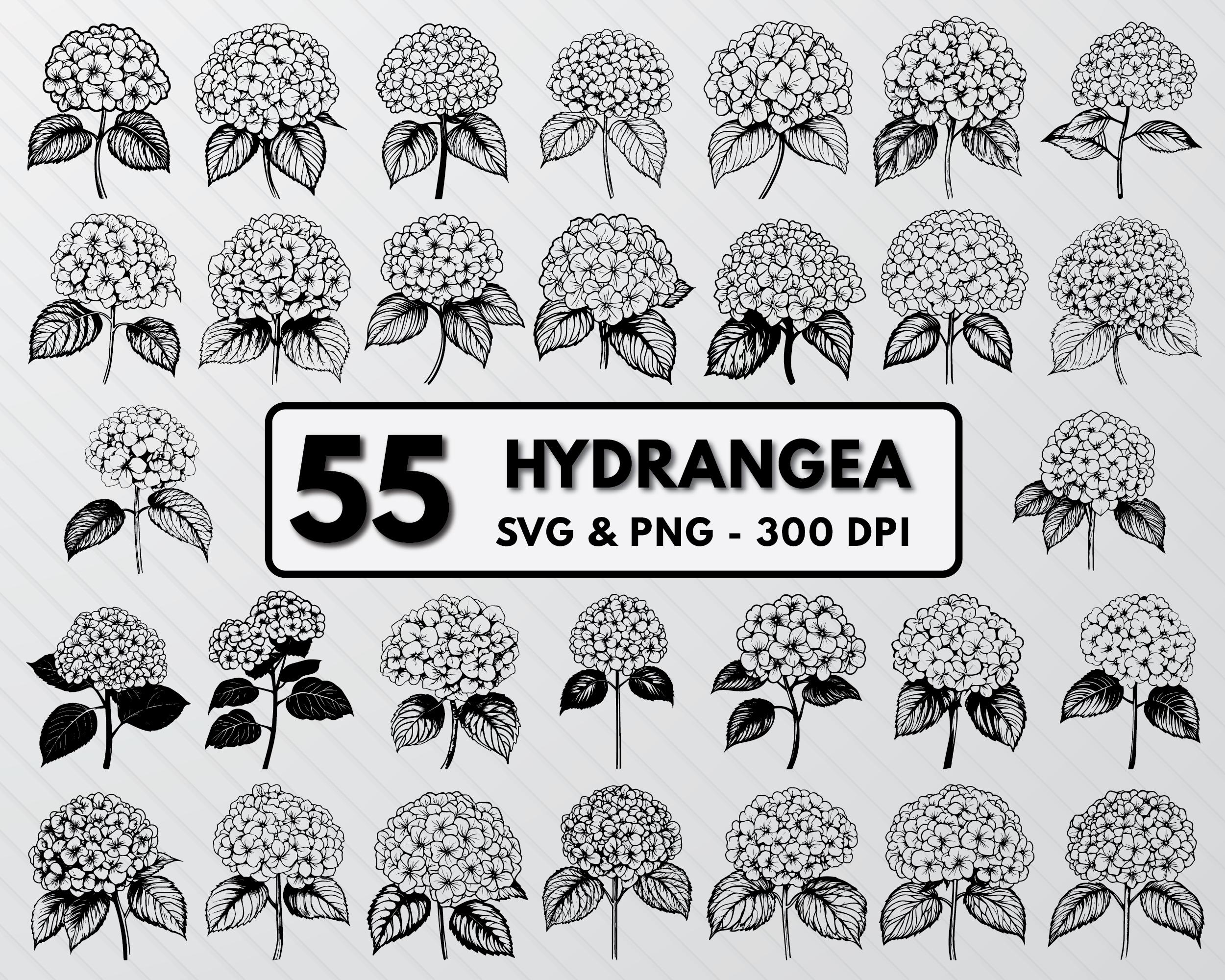 Hydrangea Flower SVG Bundle: Silhouette Clipart (PNG, Vector) - Etsy