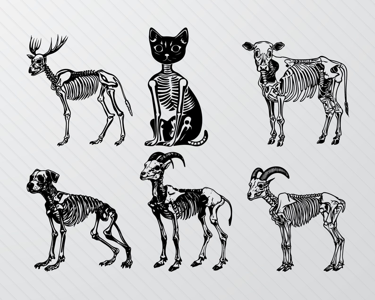 Animal Skeleton SVG Bundle: Silhouette Clipart Decal (digital Download ...