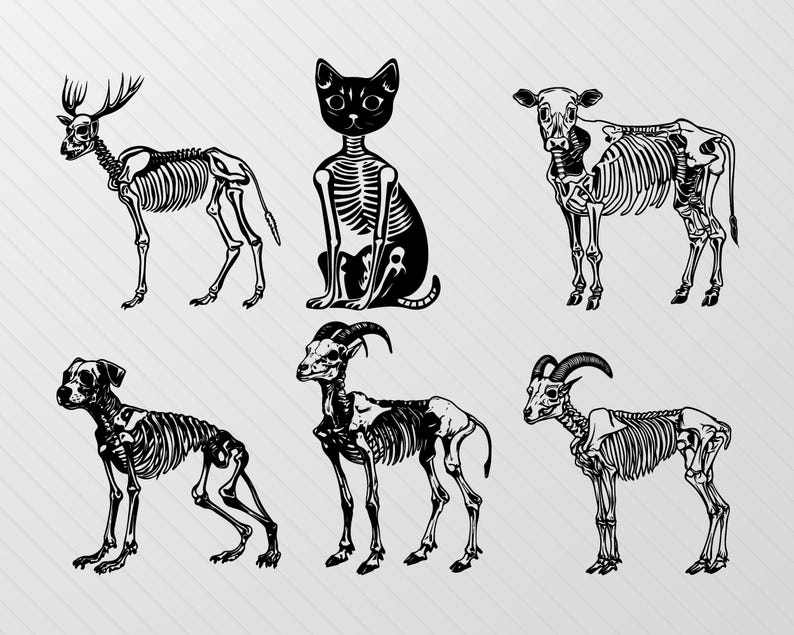 Animal Skeleton SVG Bundle: Silhouette Clipart Decal (digital Download ...