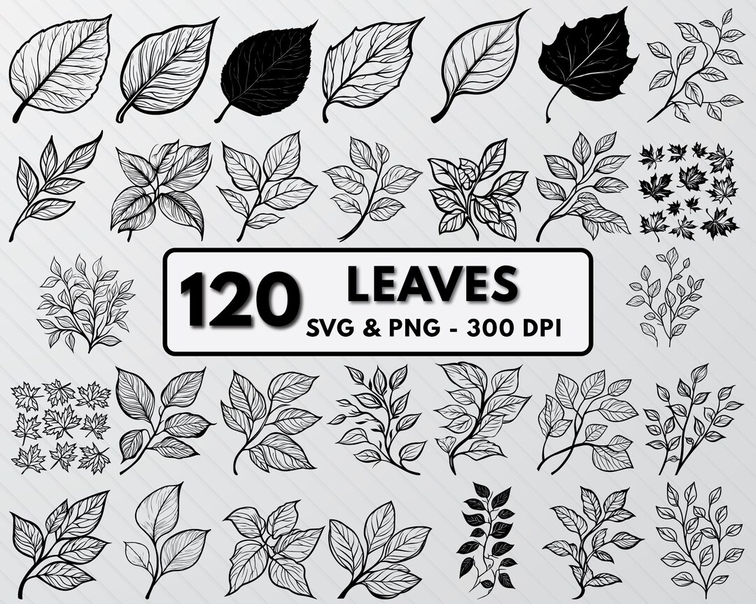 Leaves Silhouette Svg, Leaf Svg Bundle, Leaves Clipart Png, Leaves ...