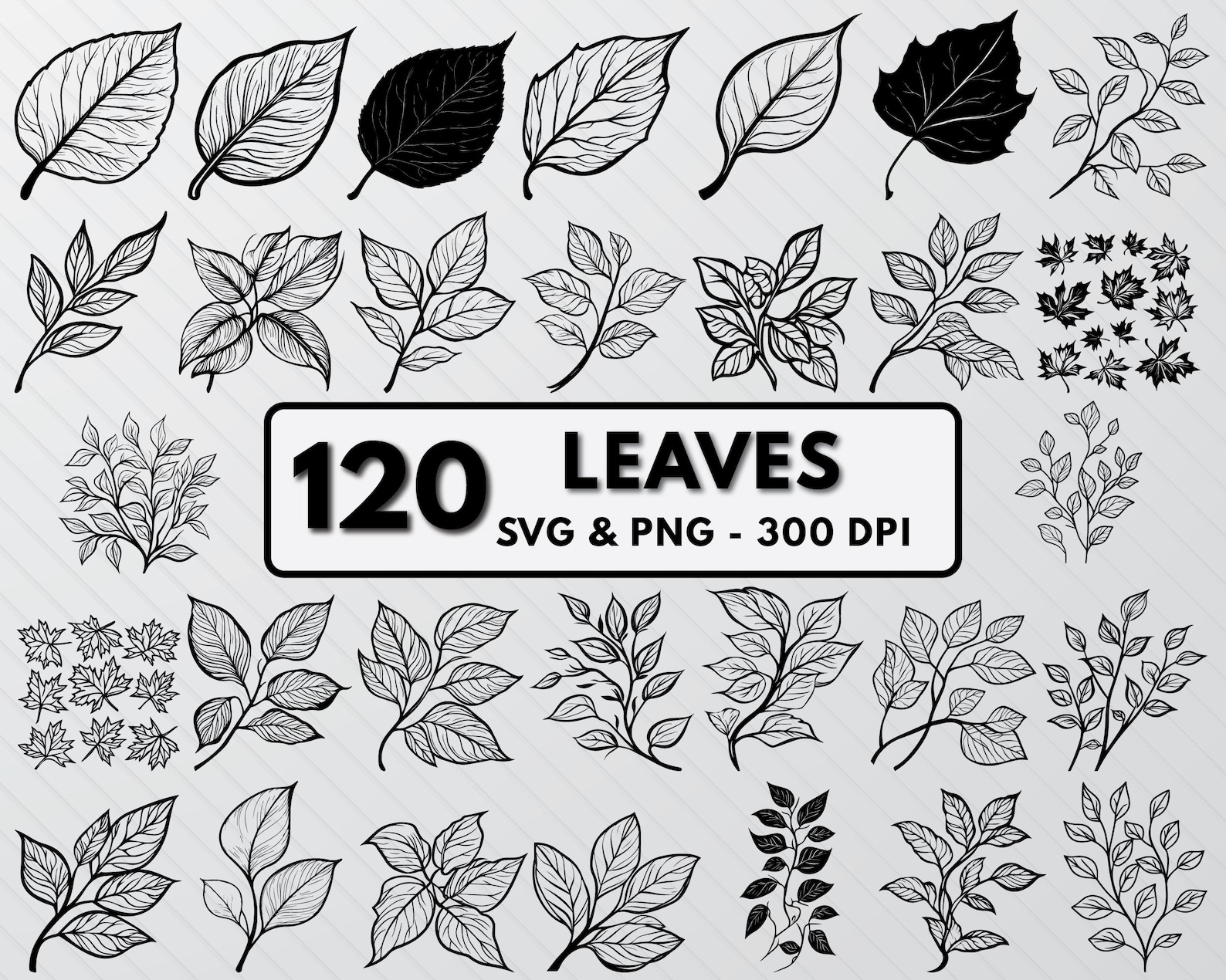 Leaf Silhouette SVG Bundle: Vector Leaves Clipart (PNG) - Etsy