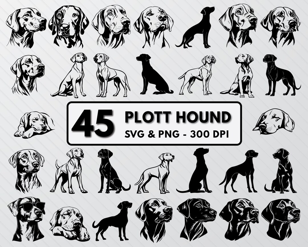 Plott Hound Svg Bundle, Plott Hound Silhouette Art, Dog Heads Vector ...
