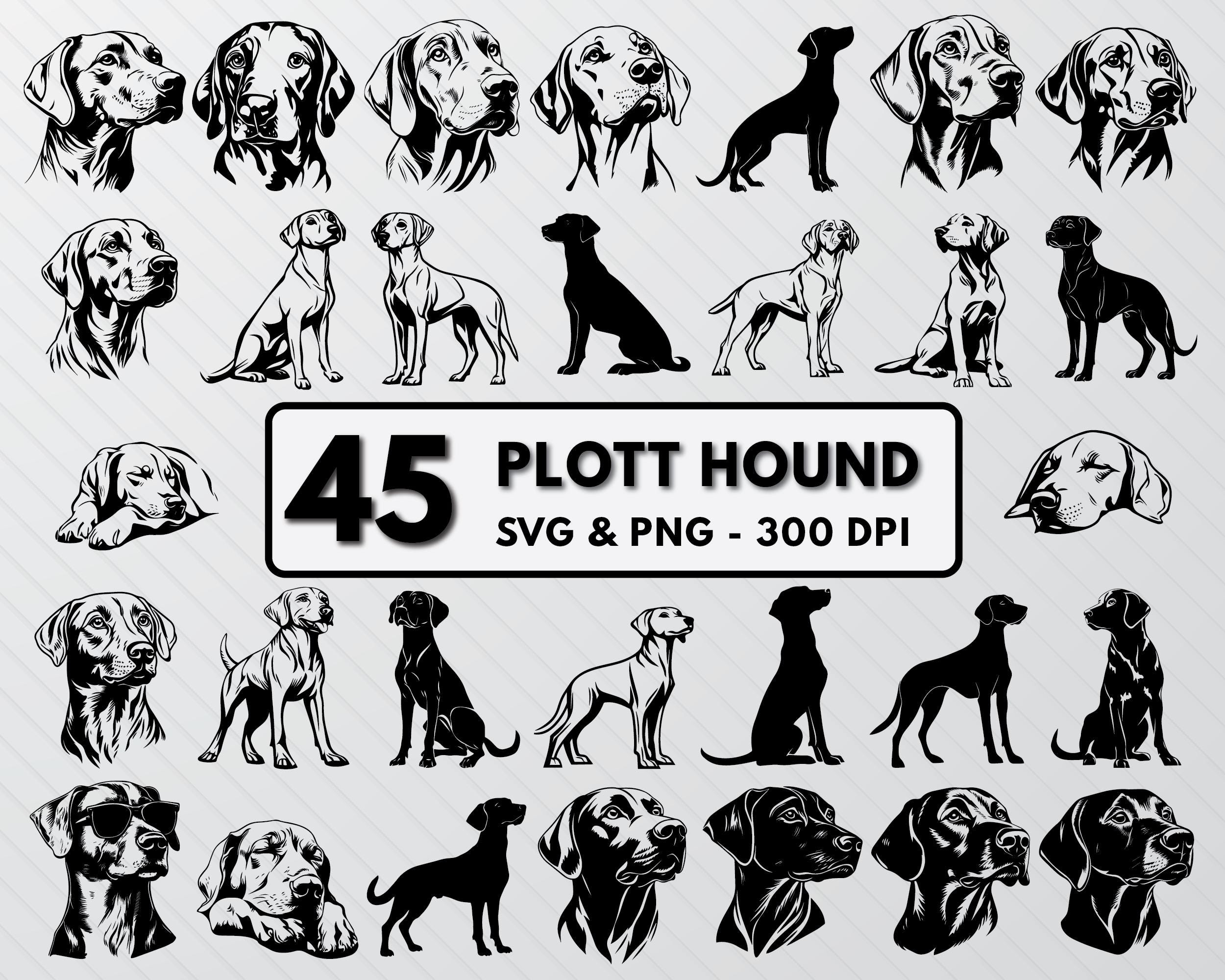 Plott Hound Svg Bundle, Plott Hound Silhouette Art, Dog Heads Vector ...