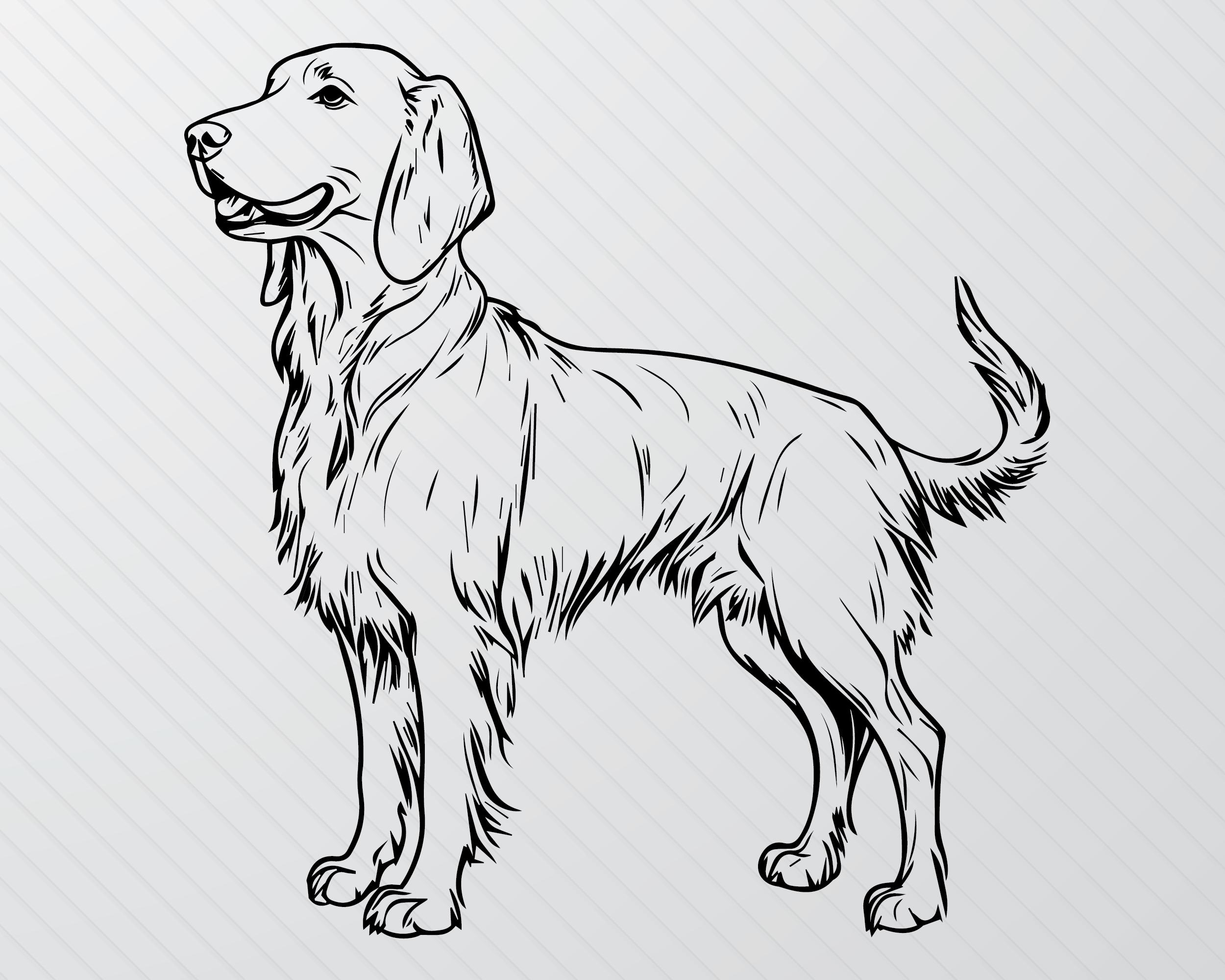 Irish Setter Svg Bundle, Irish Setter Dog Silhouette, Irish Setter ...