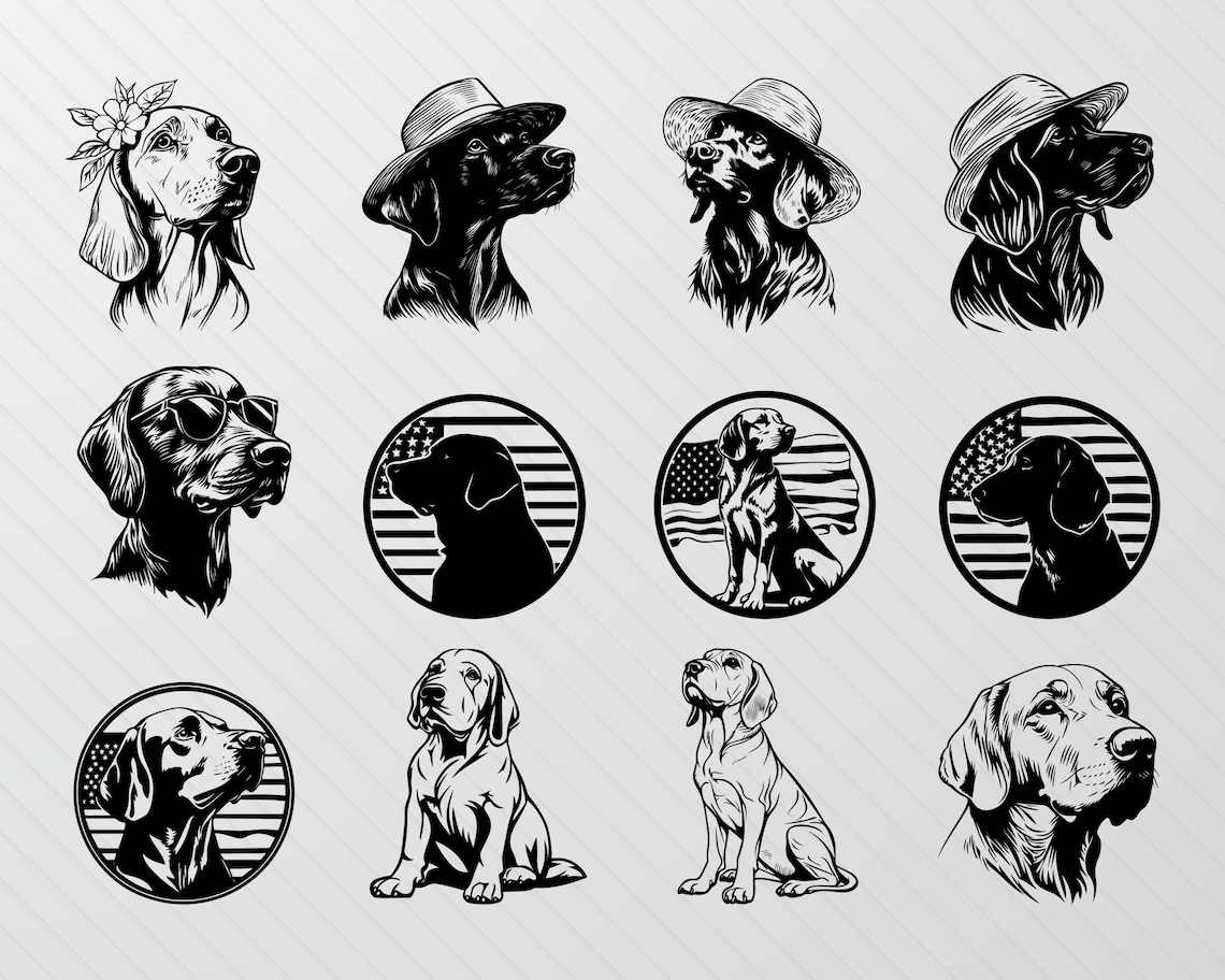 Bracco Italiano SVG Bundle: Dog Silhouette Clipart (PNG, Vector) - Etsy