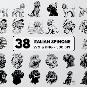 Italian Spinone Svg Bundle, Spinone Dog Silhouette, Italian Dog Clipart ...