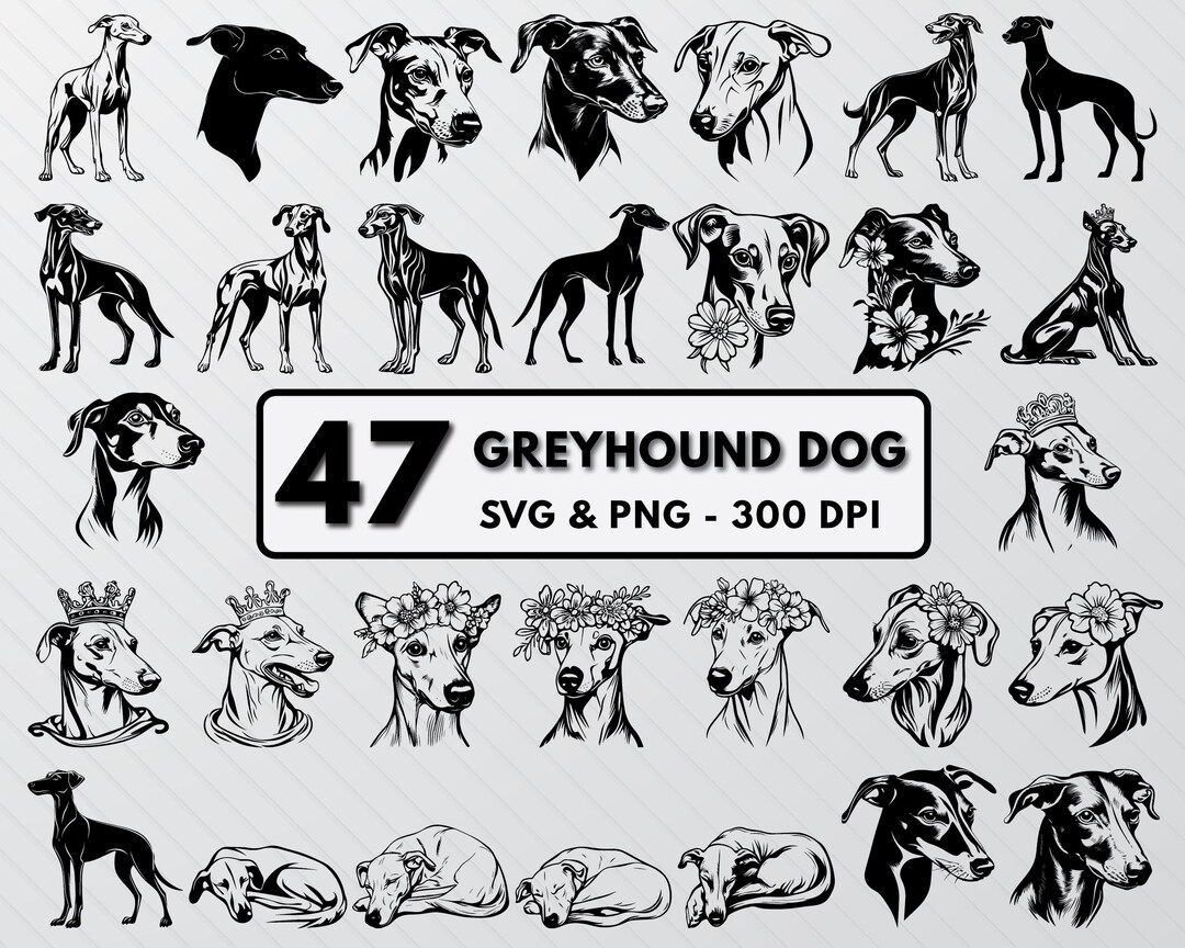 Greyhound Silhouette Svg, Greyhound Dog Svg Bundle, Dogs Clipart ...