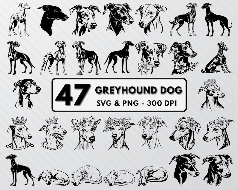 Greyhound Silhouette Svg, Greyhound Dog Svg Bundle, Dogs Clipart ...