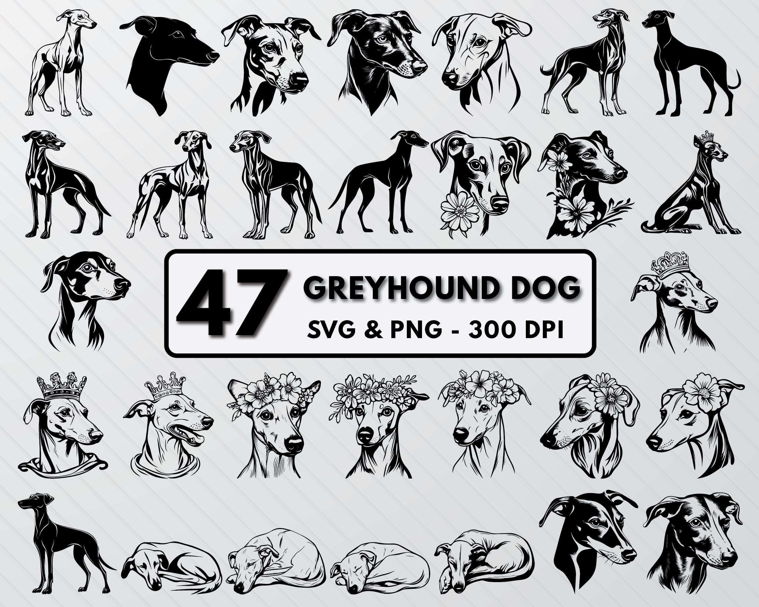 Greyhound Silhouette Svg, Greyhound Dog Svg Bundle, Dogs Clipart ...