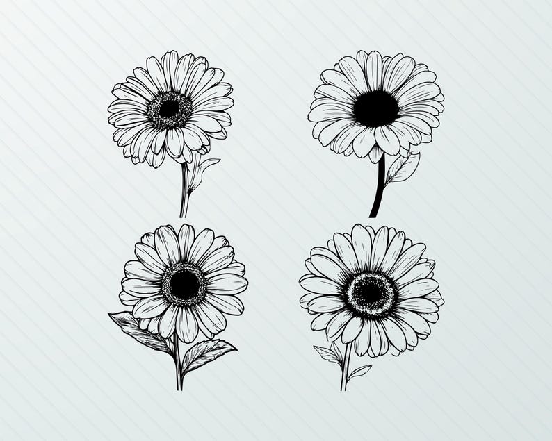 Gerbera Svg Png Bundle, Gerbera Clipart, Gerbera Flower Silhouette ...