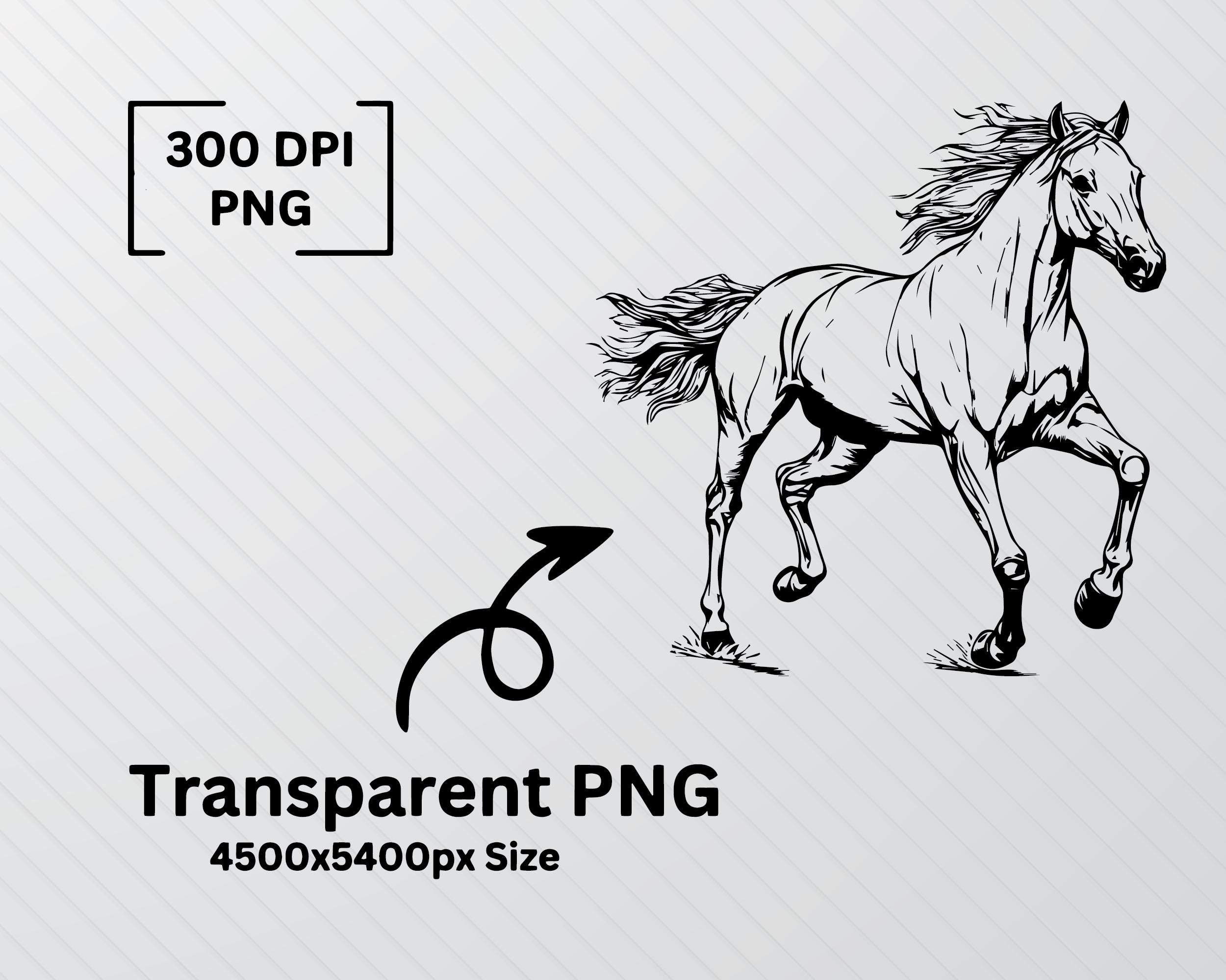 Running Horse Svg Bundle, Horse Silhouette, Running Horse Design ...