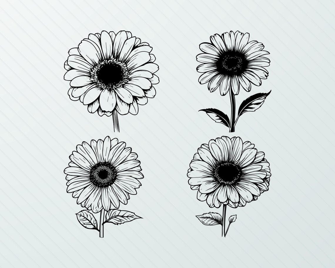 Gerbera Flower SVG PNG Bundle: Floral Clipart, Silhouette, Outline Art ...