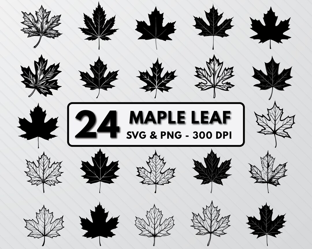 Maple Leaf Svg Bundle, Maple Leaf Silhouette Art, Maple Leaf Clipart ...