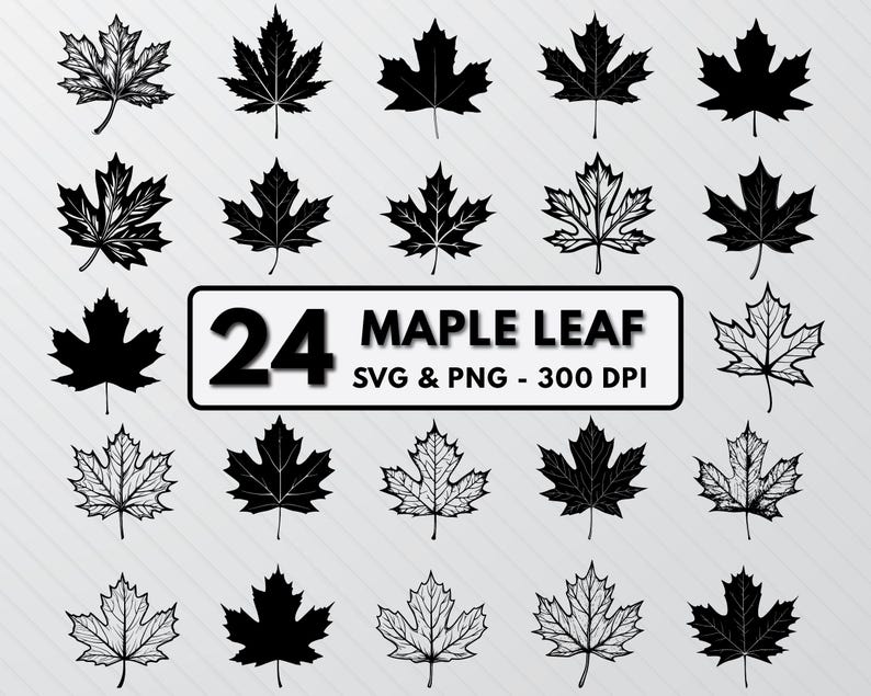 Maple Leaf Svg Bundle, Maple Leaf Silhouette Art, Maple Leaf Clipart Png, Maple Leaf Outline Cut ...