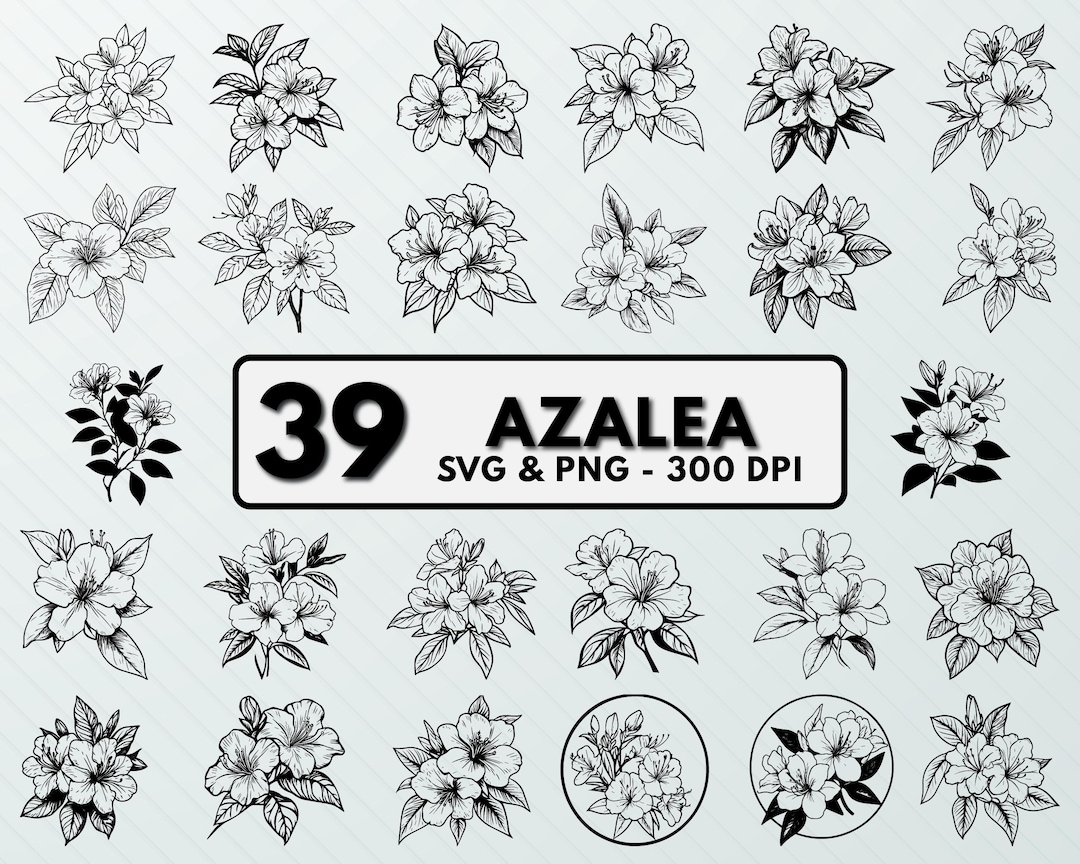 Azalea Svg Png Bundle, Azalea Silhouette, Azalea Clipart, Azalea Vector ...