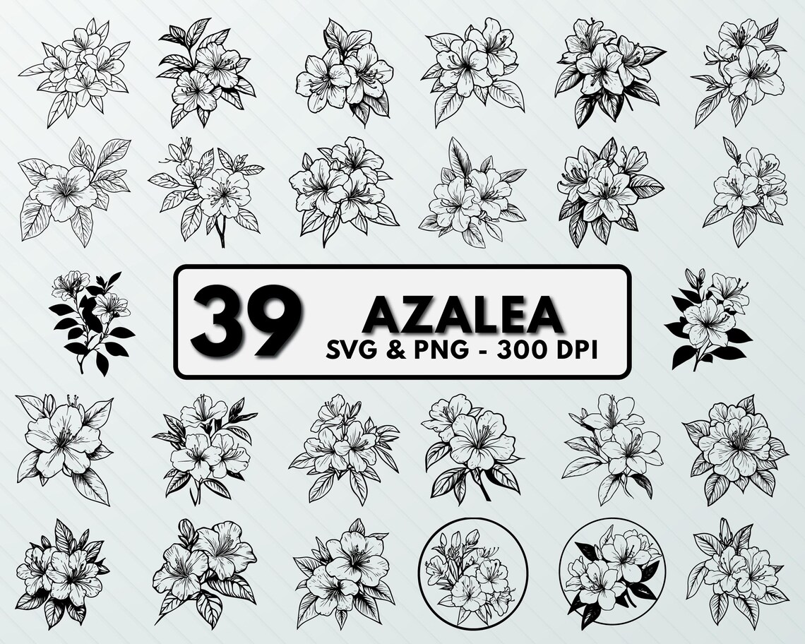 Azalea SVG PNG Bundle: Flower Outline Cut Files - Etsy