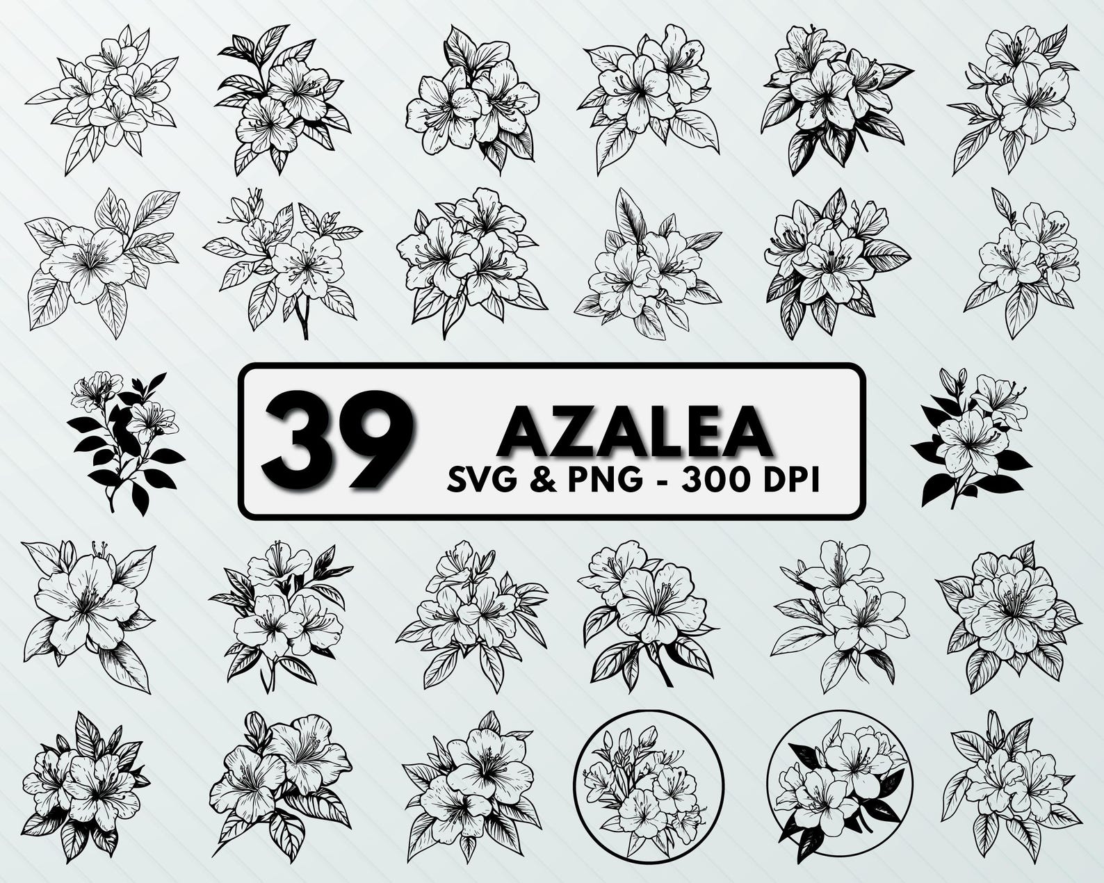 Azalea Svg Png Bundle, Azalea Silhouette, Azalea Clipart, Azalea Vector ...