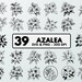 Azalea SVG PNG Bundle: Flower Outline Cut Files - Etsy