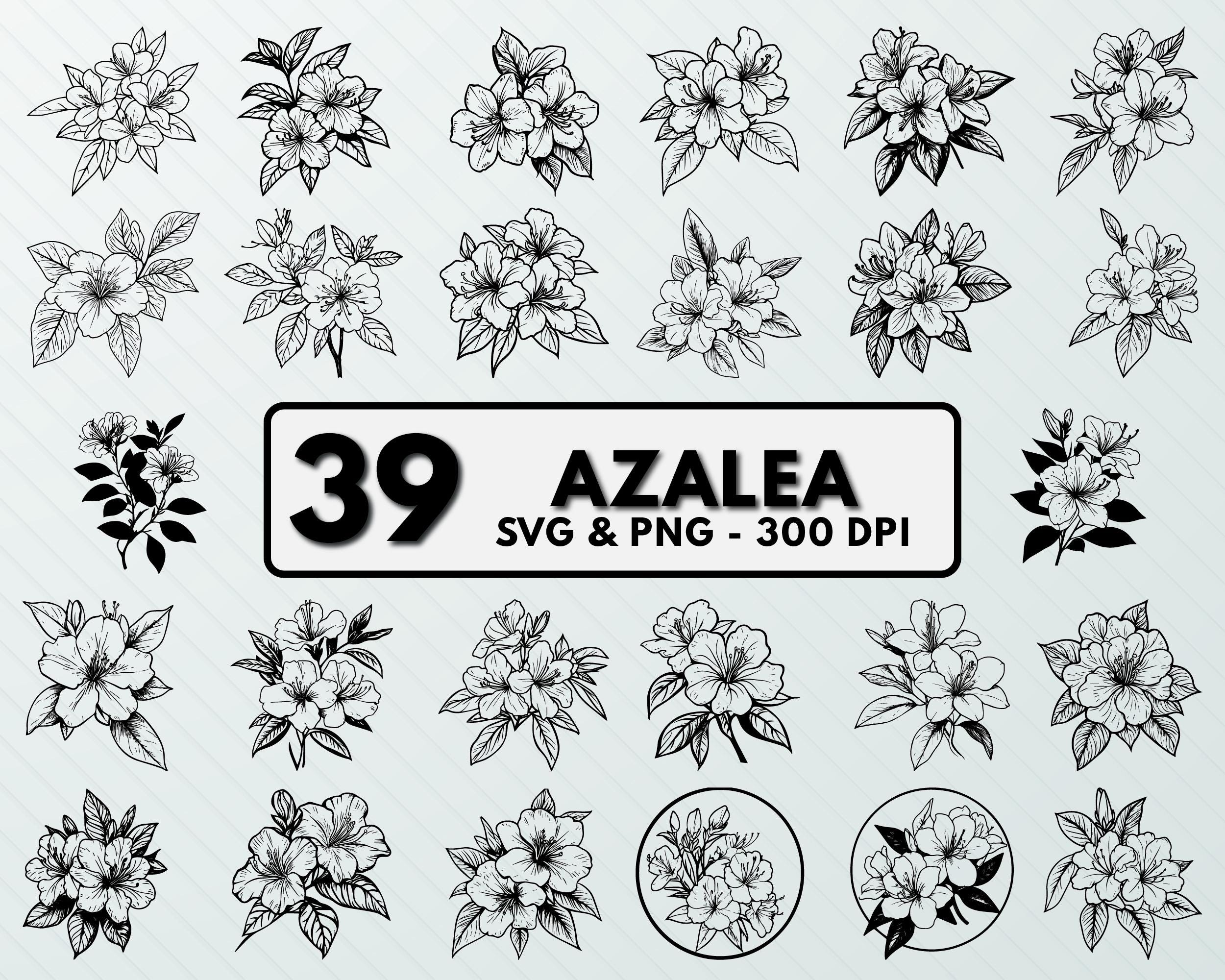 Azalea Svg Png Bundle, Azalea Silhouette, Azalea Clipart, Azalea Vector ...