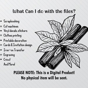 Cinnamon Svg Bundle, Cinnamon Silhouette, Sticks Spice Vector Svg ...