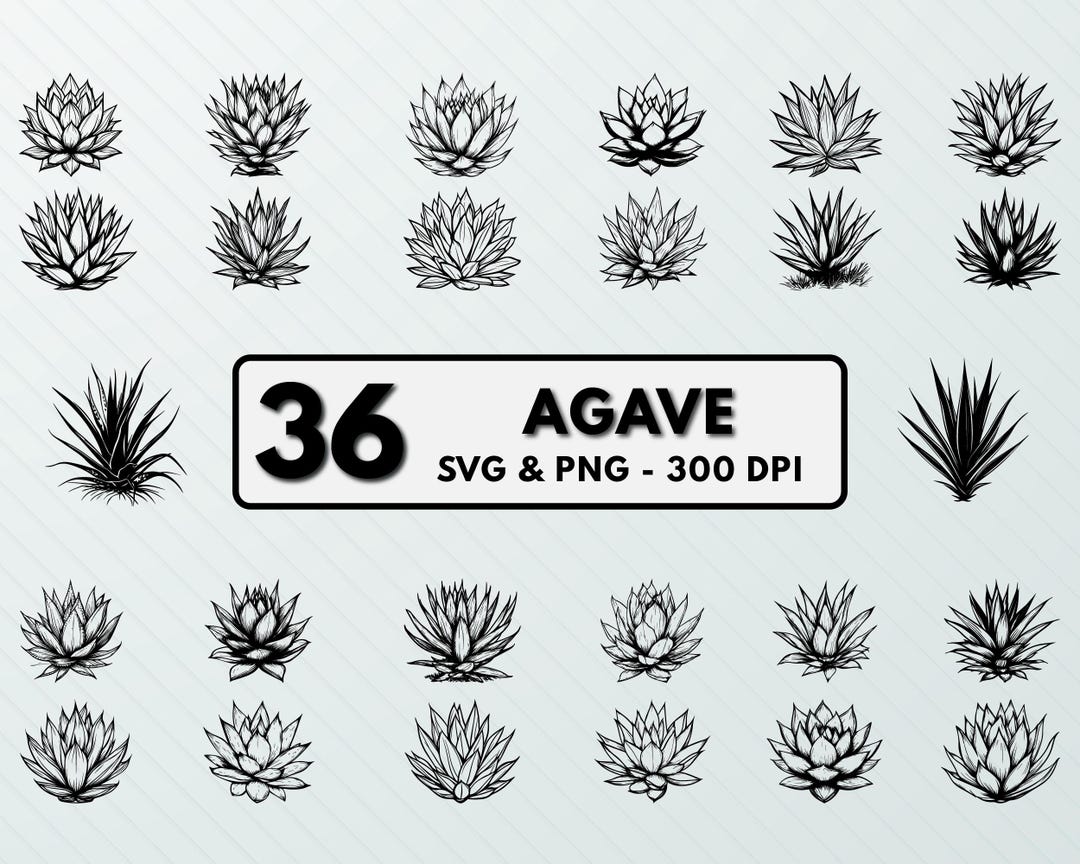 Agave Svg Png, Agave Clipart, Agave Silhouette, Agave Vector, Agave ...