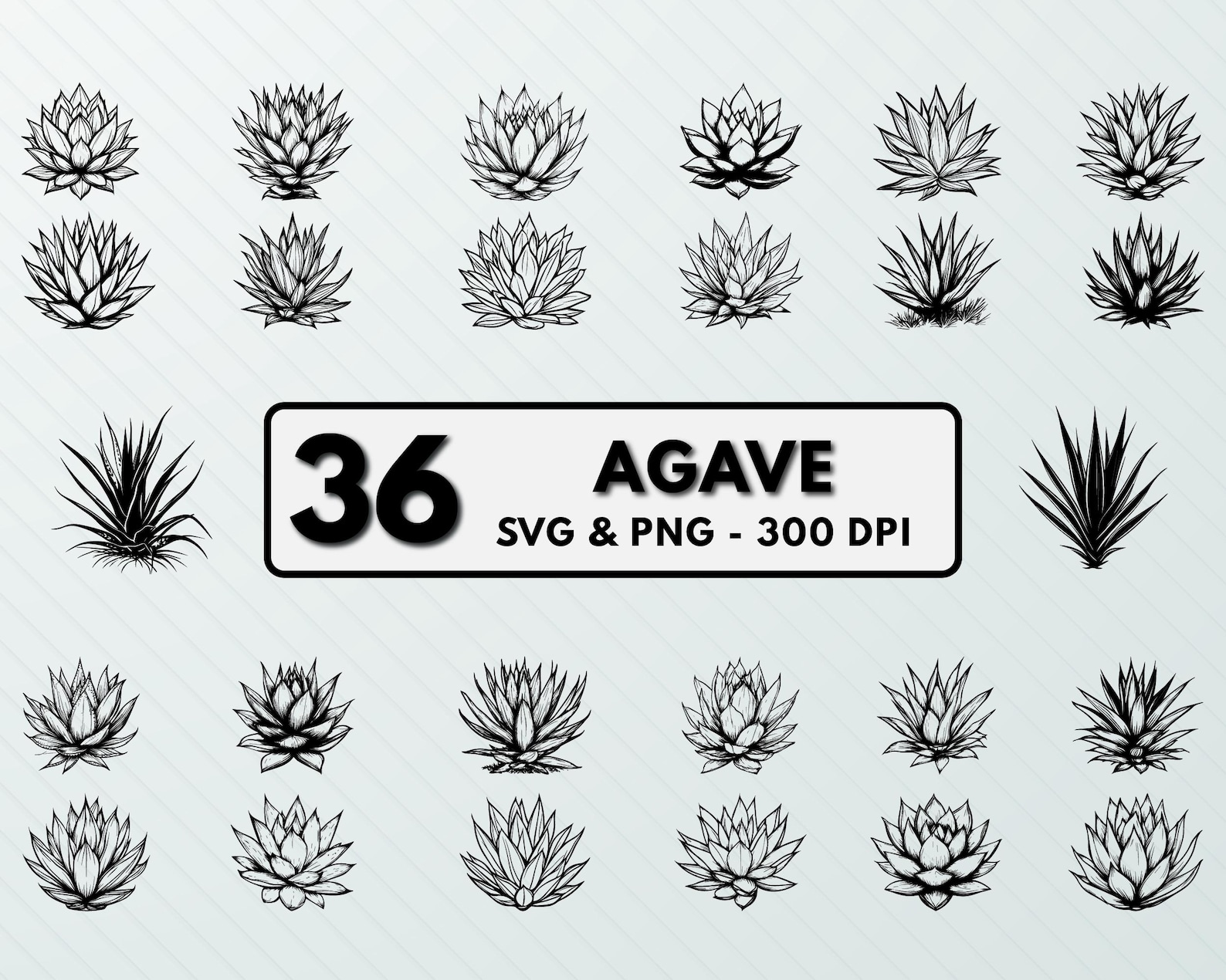 Agave Plant SVG PNG: Clipart Silhouette Vector Cut Files - Etsy