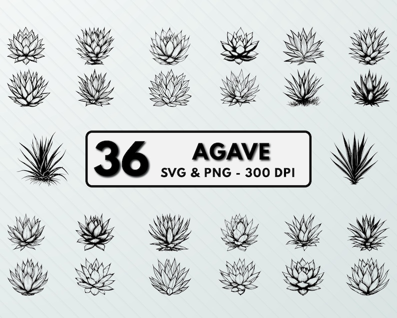 Agave Plant SVG PNG: Clipart Silhouette Vector Cut Files - Etsy