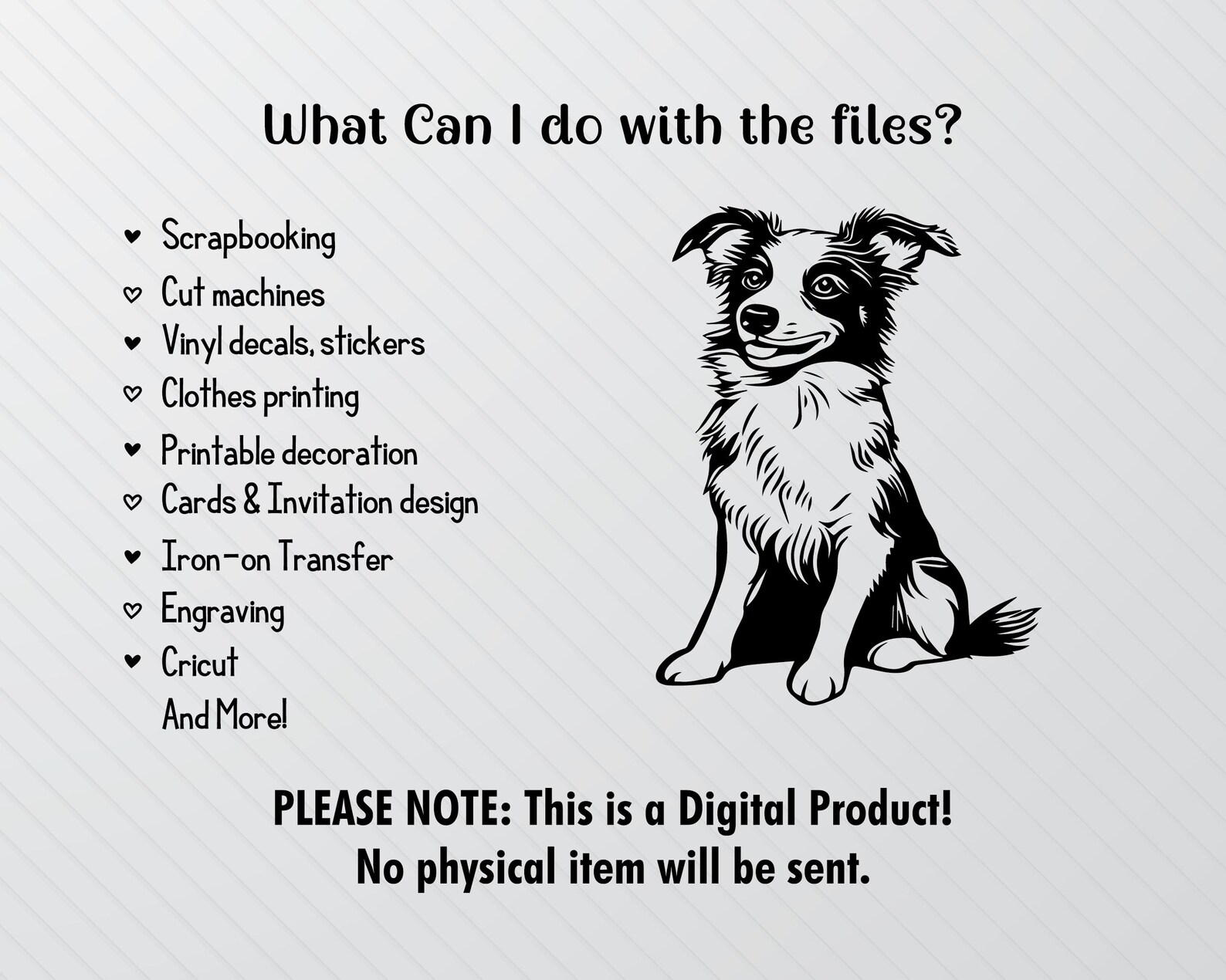 Australian Koolie Dog Silhouette, Koolie Dogs Svg Bundle, Koolie ...