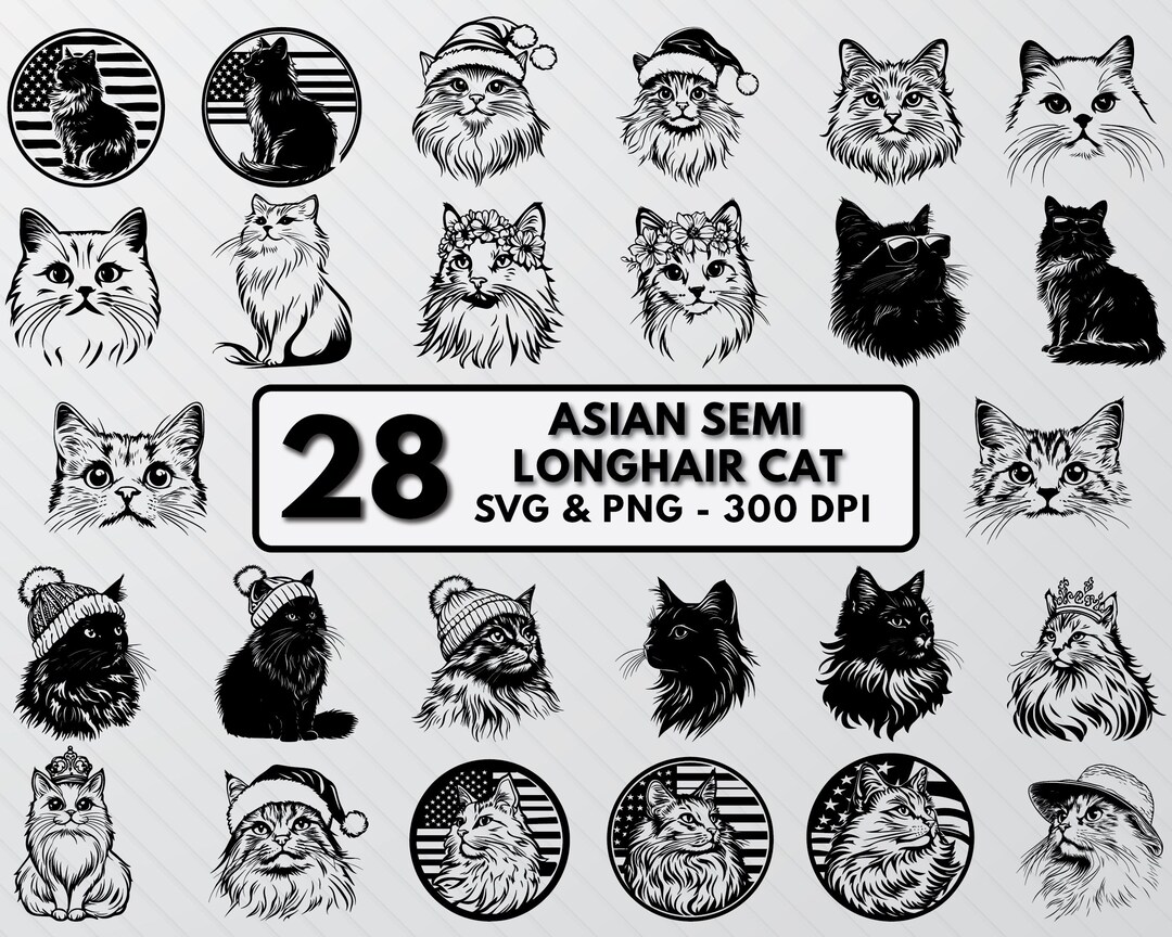 Asian Semi Longhair Cat Svg Bundle, Asian Longhair Cat Silhouette Png ...