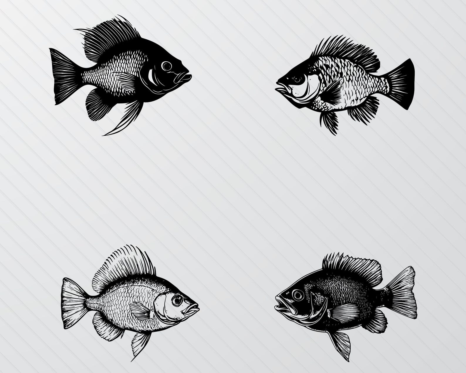 Bluegill Svg Bundle, Bluegill Fish Silhouette, Bluegill Sunfish Decal ...