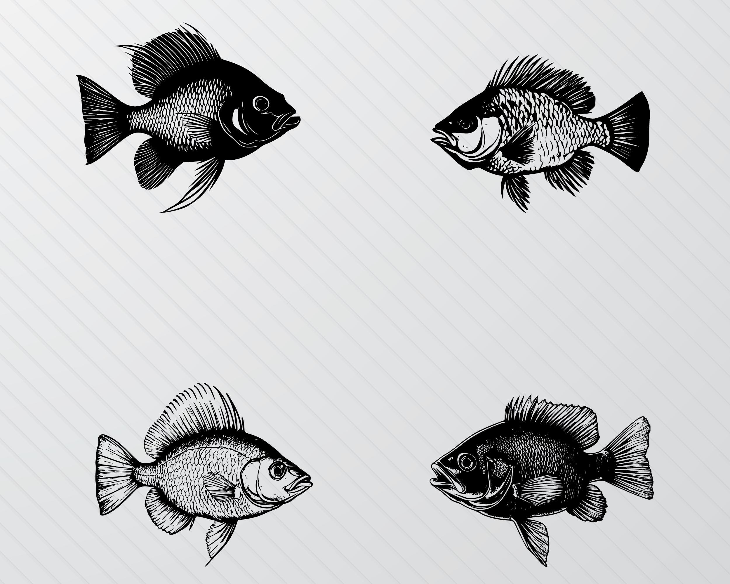 Bluegill Svg Bundle, Bluegill Fish Silhouette, Bluegill Sunfish Decal ...