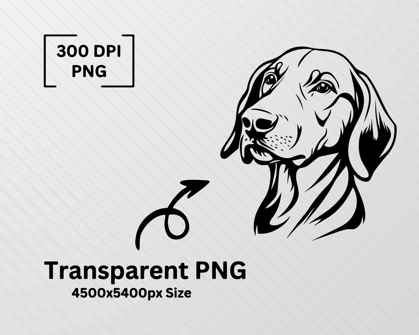 Plott Hound SVG Bundle: Dog Breed Vector Cut Files (PNG, 300 DPI) - Etsy