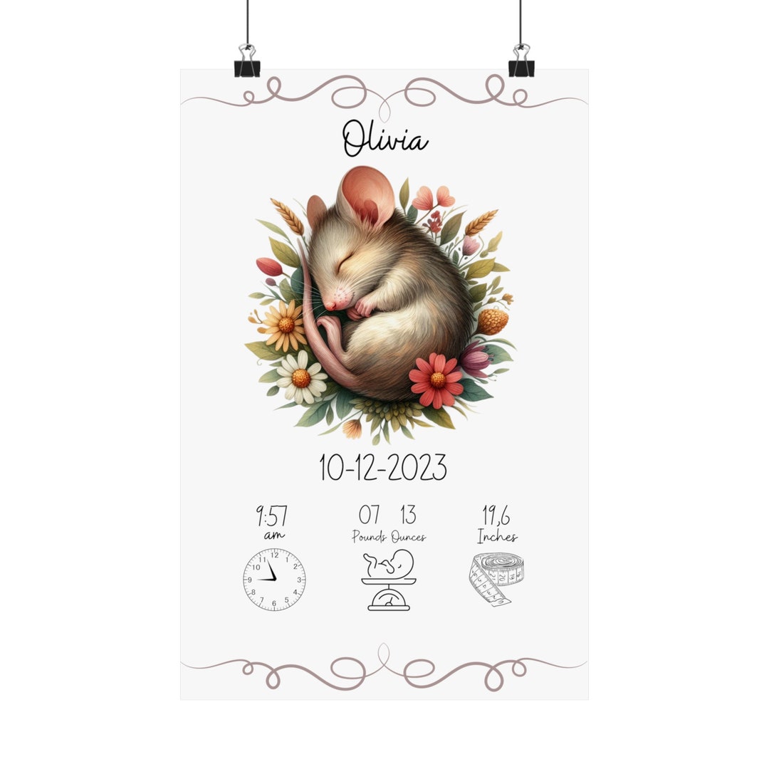 Personalized Birth Stats Unique Poster Baby Birth Sign Cute Mouse Baby ...