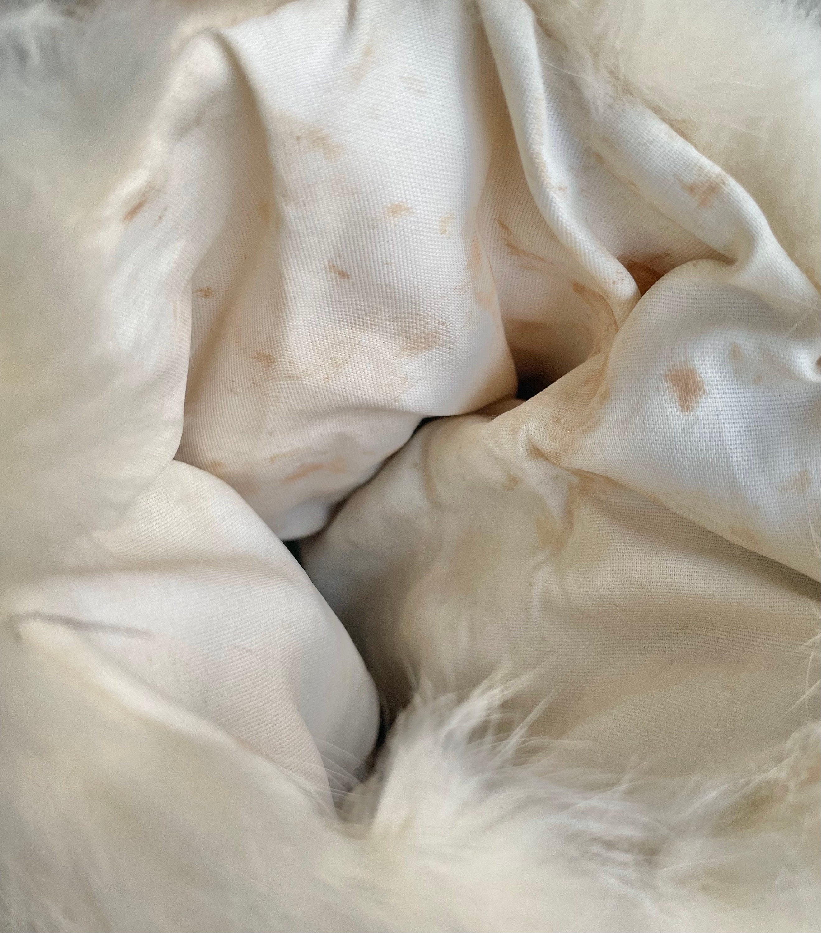 1940s/1950s Vintage Children's Paper Mache Doll Rabbit Fur Muff Hand ...