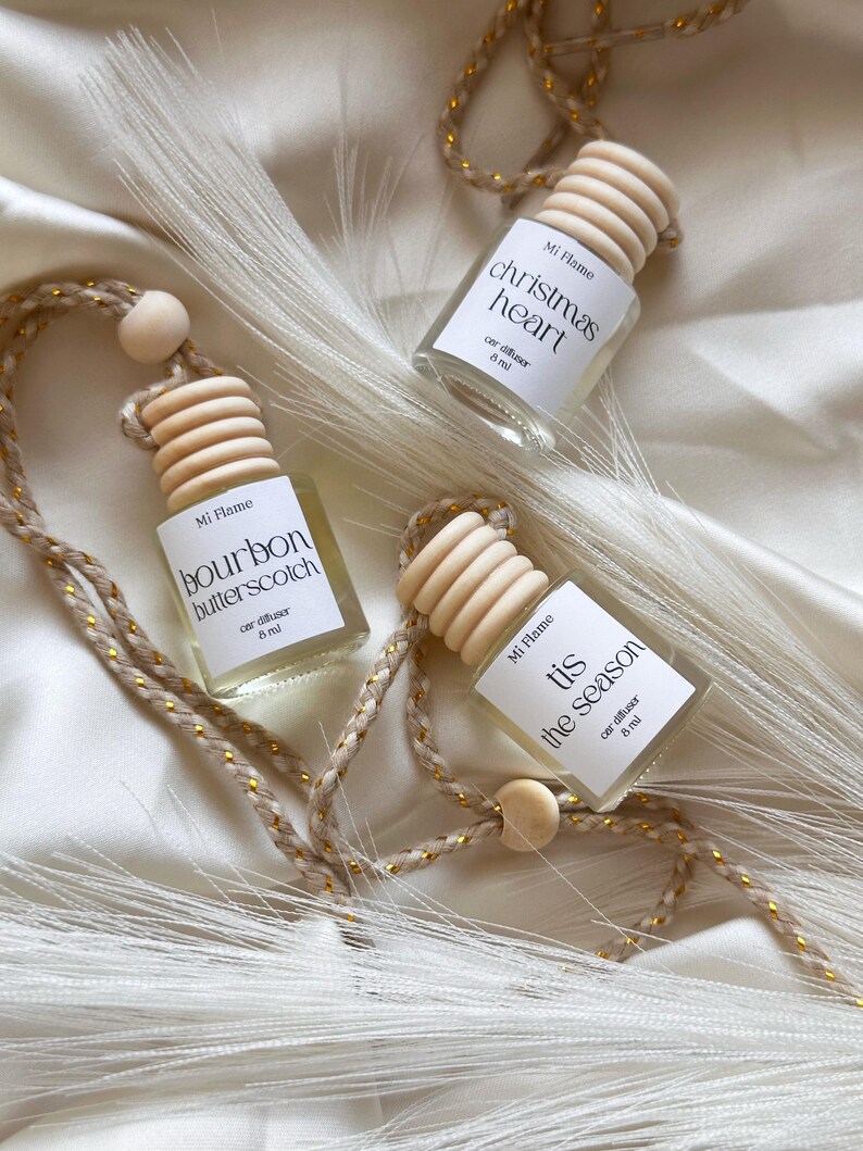 Scented Car Diffuser | Car Freshener | Non-toxic | Gift for Her | Hanging Car Diffuser | Small ...