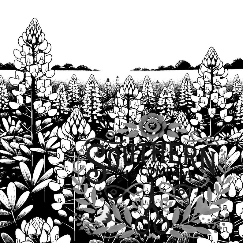 Bluebonnet SVG Bundle | Nature's Beauty Clipart, Floral Designs for ...