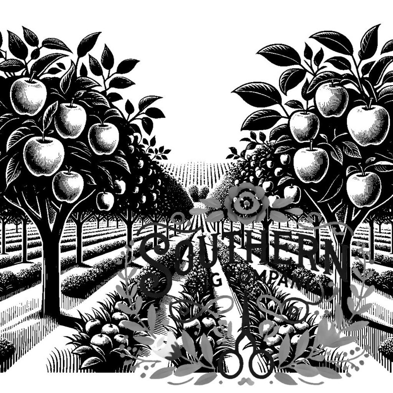 SVG Apple Orchard Bundle | Digital Download for Crafters | Cute Design ...