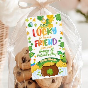 Editable St. Patrick's Day Friend Gift Tag Template, I'm so Lucky to ...
